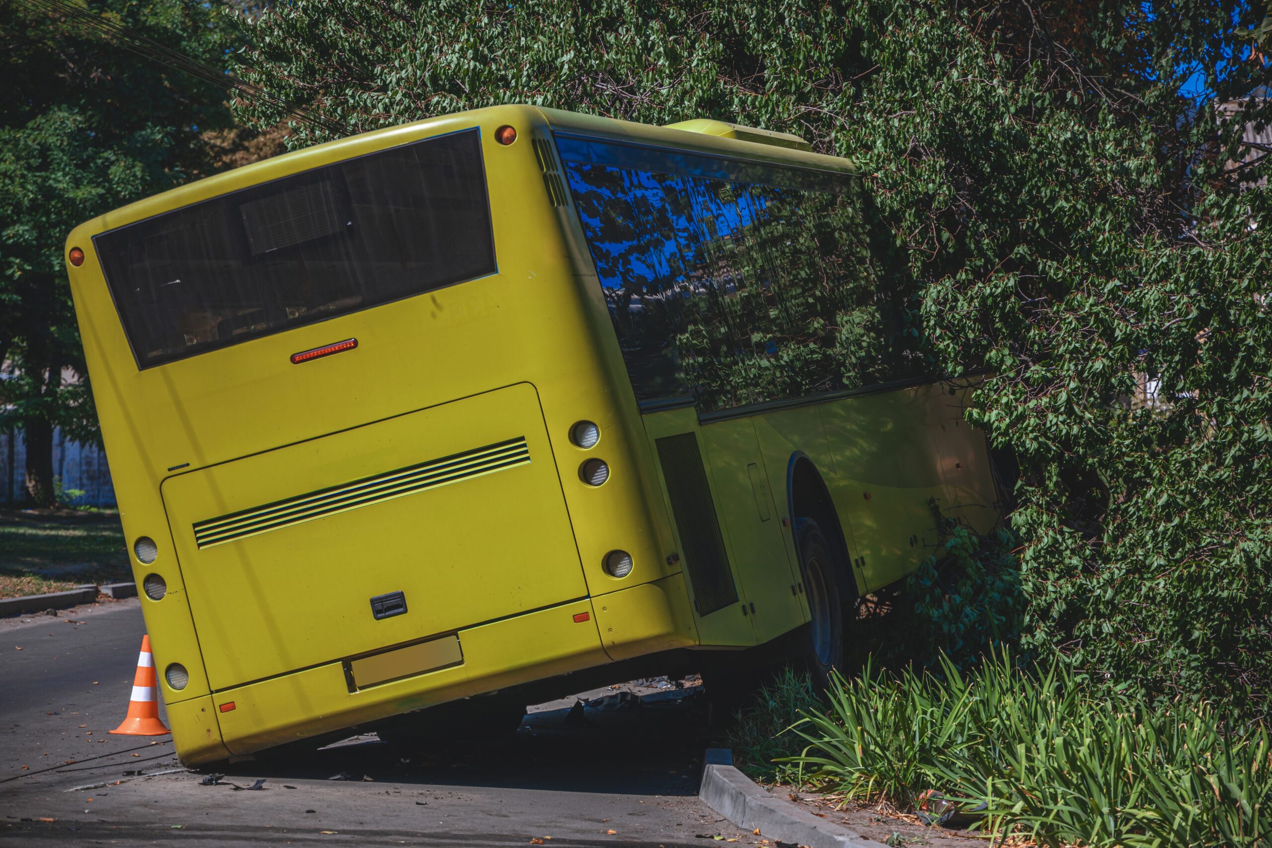 Steps to Take if You’re Injured in a School Bus Accident in Washington